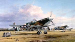 SpitfireSpares.com - warbird Reference